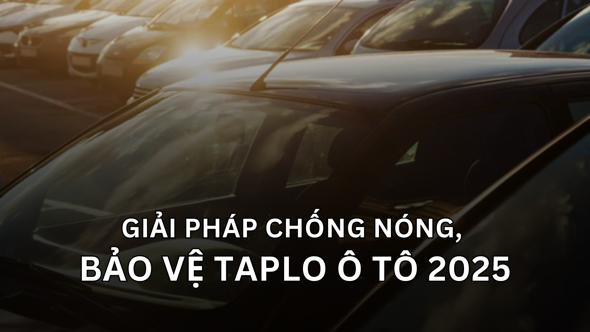 Giải pháp chống nóng, bảo vệ Taplo ô tô cho ngày hè 2025